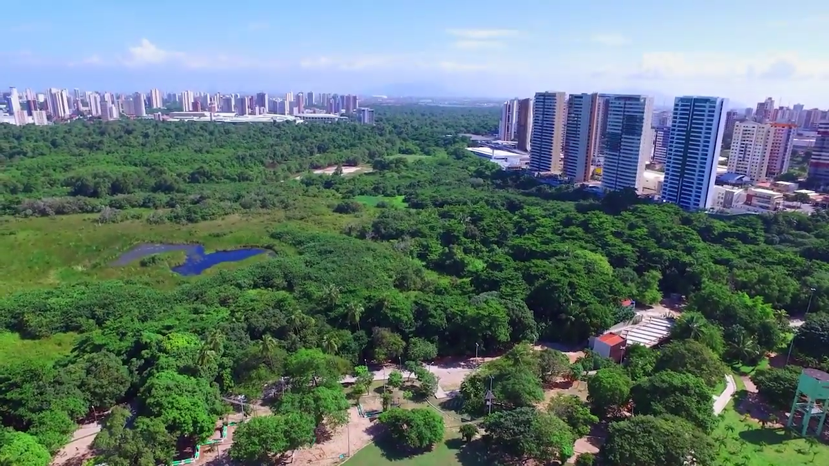 Cocó e Sabiaguaba: um olhar socioambiental sobre a criação do Parque ...